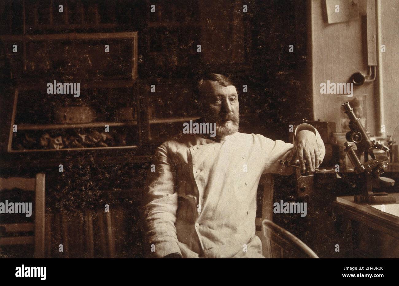 Adam Politzer. Photograph Stock Photo - Alamy