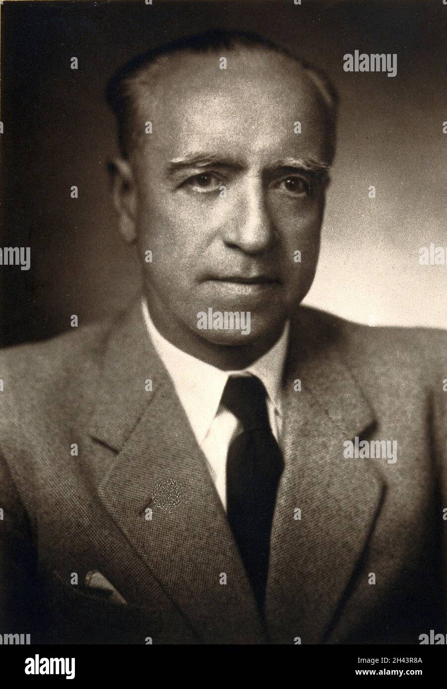 Van hoof hi-res stock photography and images - Alamy