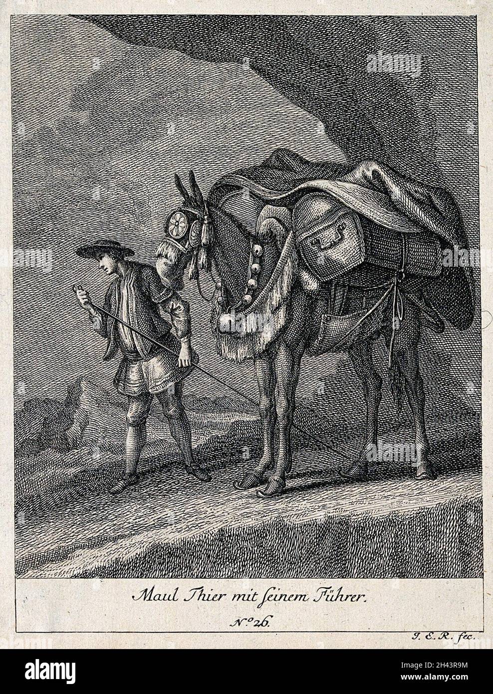 A muzzled, harnessed and loaded mule and its muleteer are standing in a ...