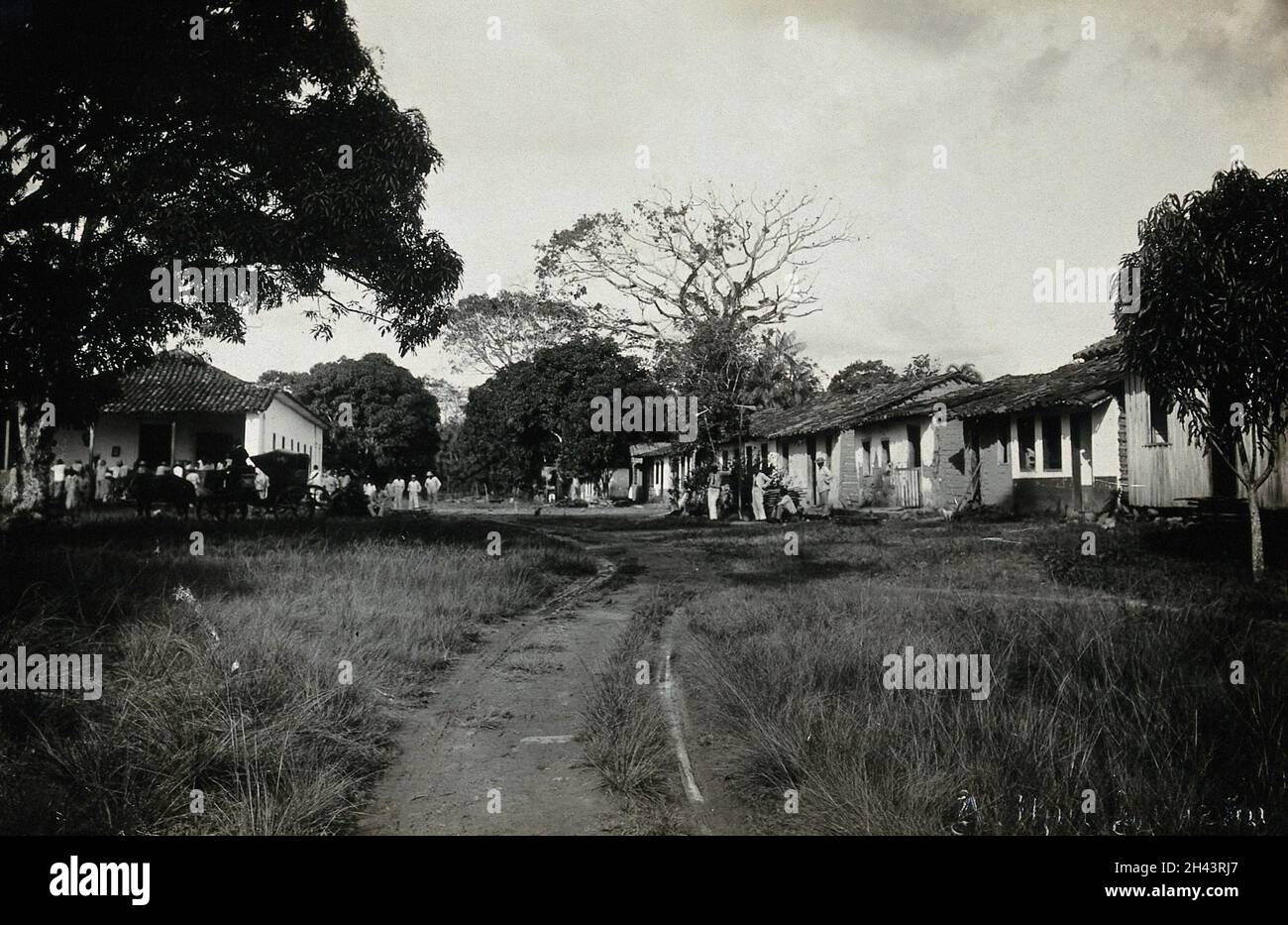 Tocunduba Leper Asylum, Belém, Brazil: a row of basic cottages; a horse ...