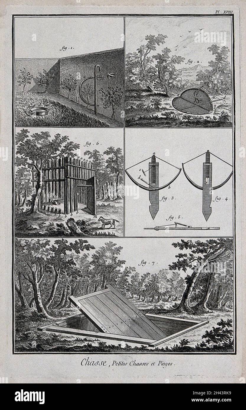 Hunting: traps and snares for catching ground-feeding birds. Engraving ...