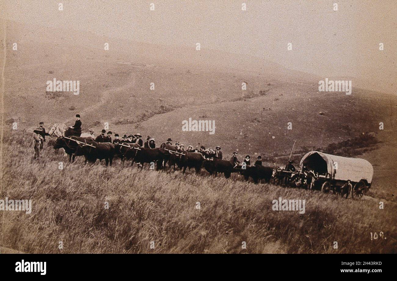 South Africa: landscape with people, a wagon and oxen in the foreground ...