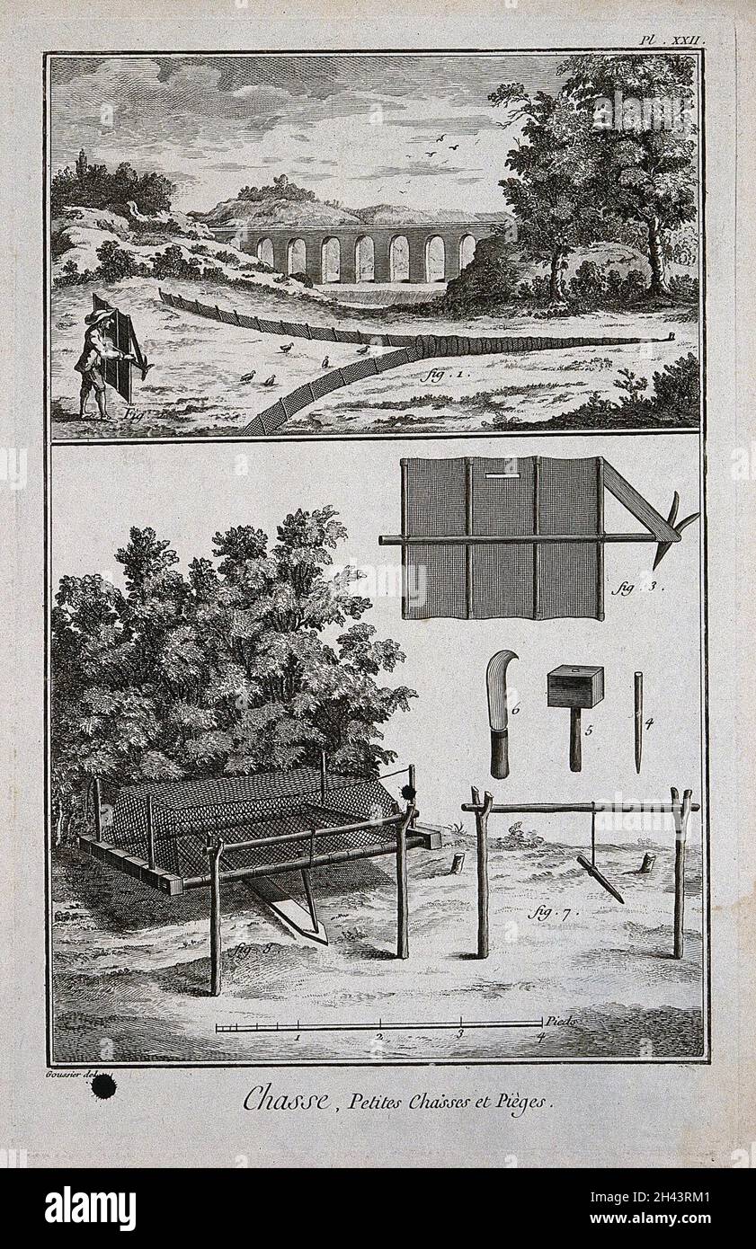 Man Catching Birds High Resolution Stock Photography and Images - Alamy