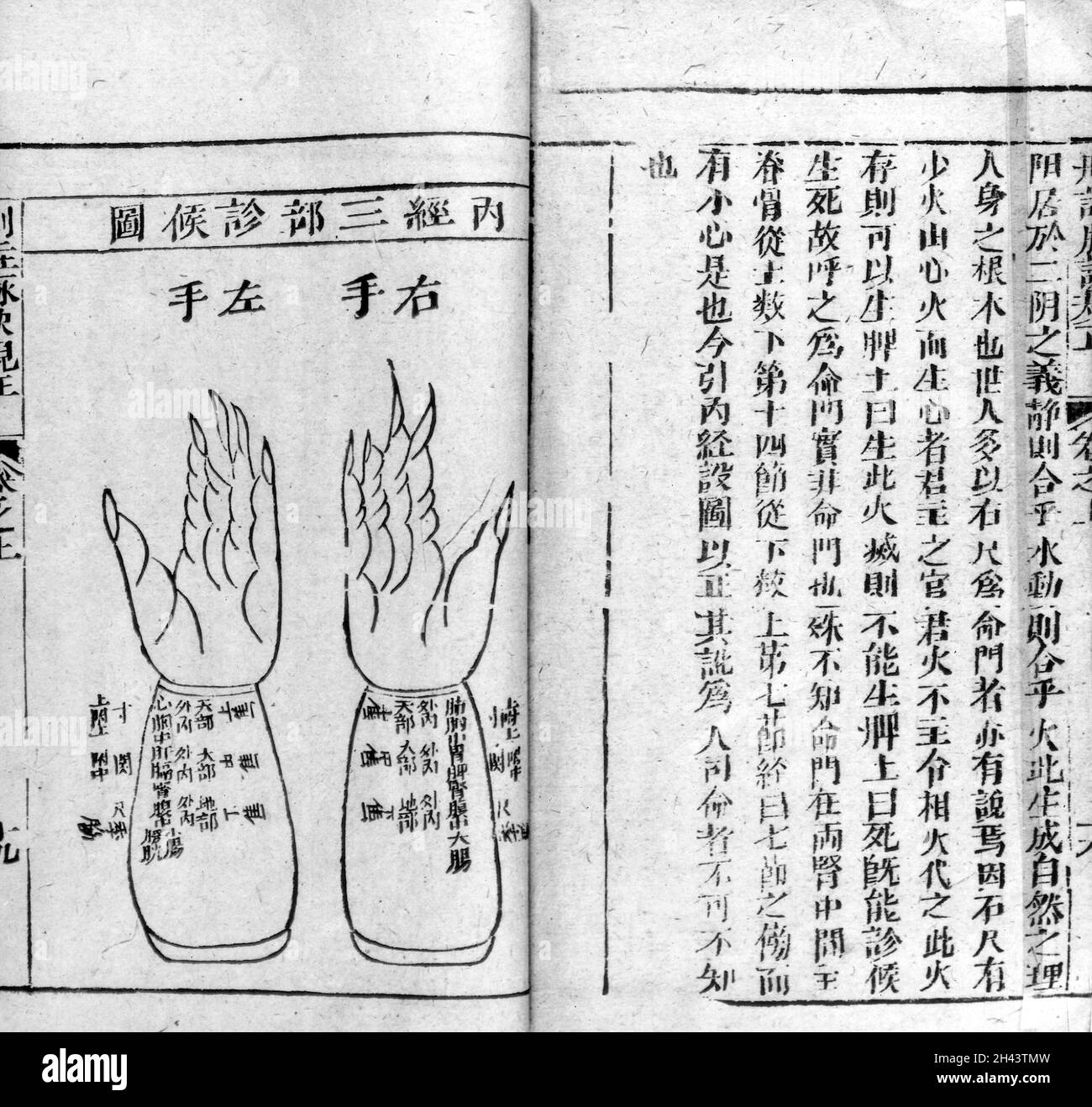 Chinese pulse chart, 17th century Stock Photo - Alamy