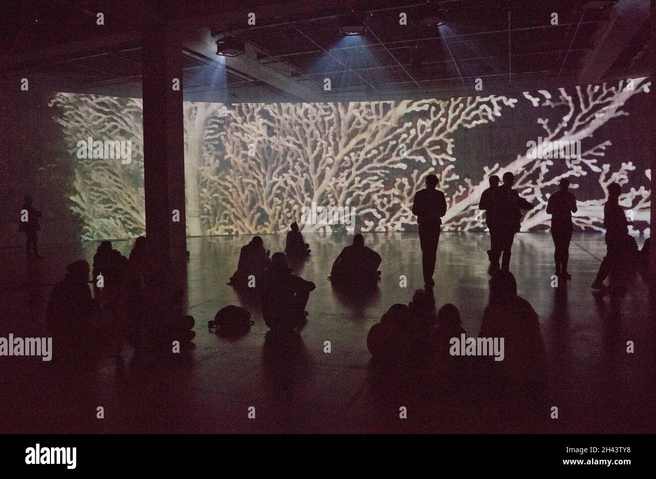 Environmental Installation Art