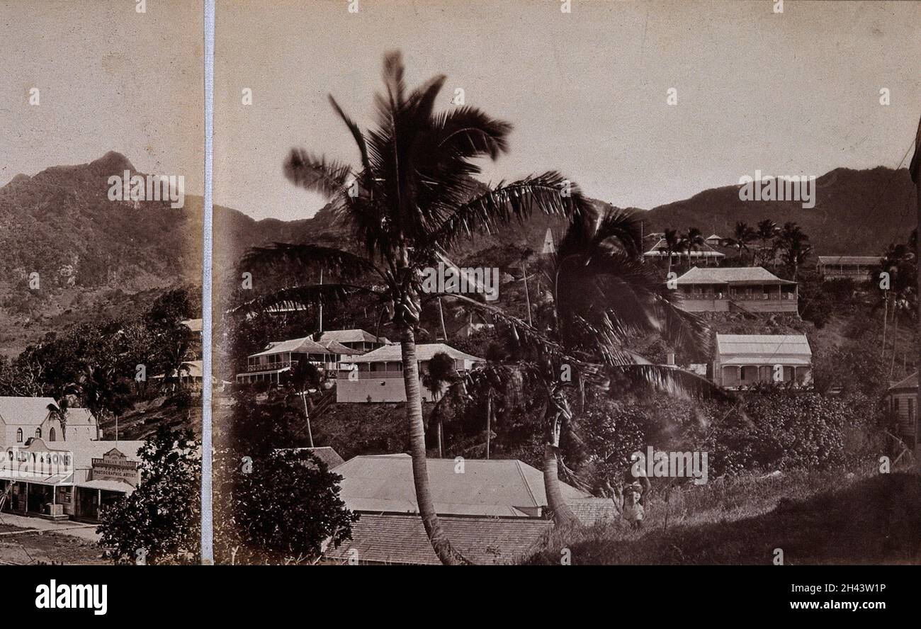 Levuka, Fiji: panoramic view: section three. Photograph, ca. 1880 Stock ...