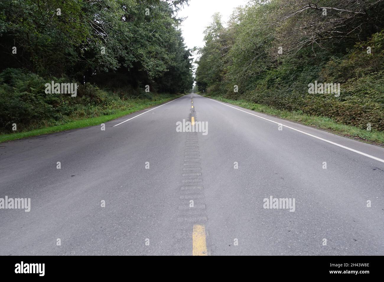 The rugged Washington coast provides miles of quiet beaches and sandy ...