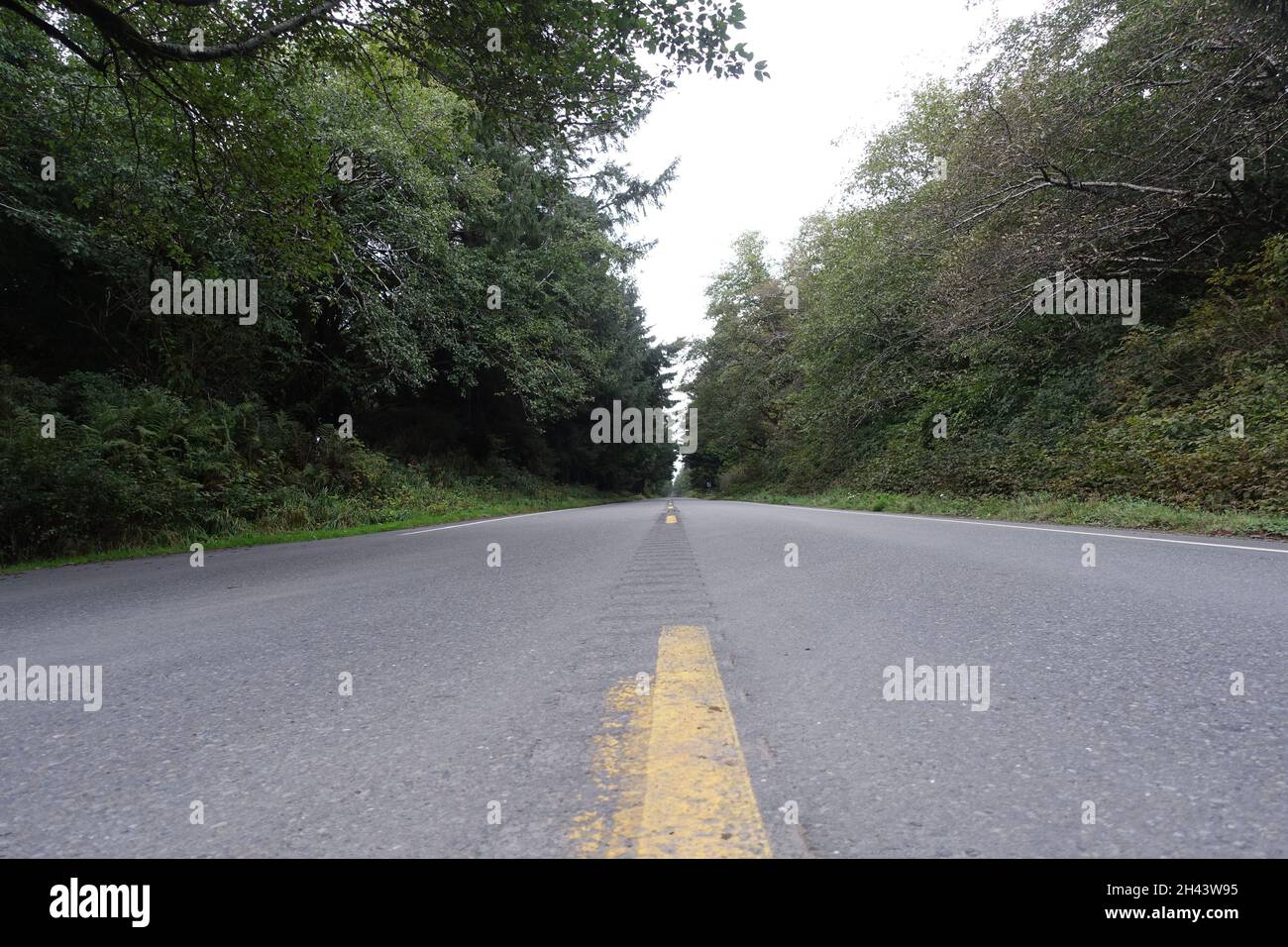 The rugged Washington coast provides miles of quiet beaches and sandy ...