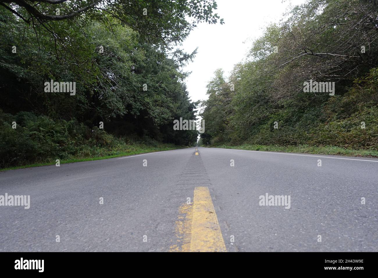 The rugged Washington coast provides miles of quiet beaches and sandy ...