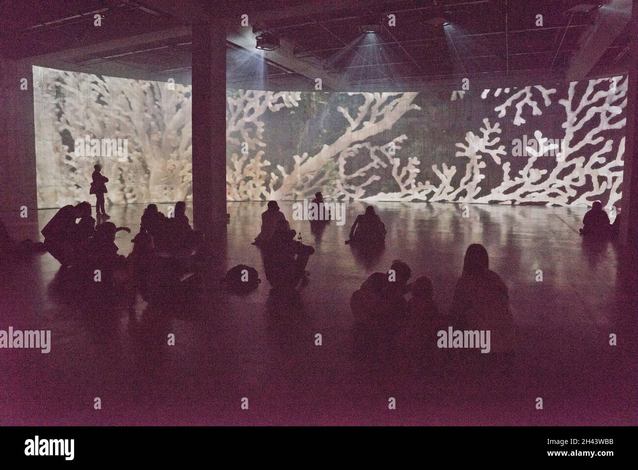 Environmental Installation Art