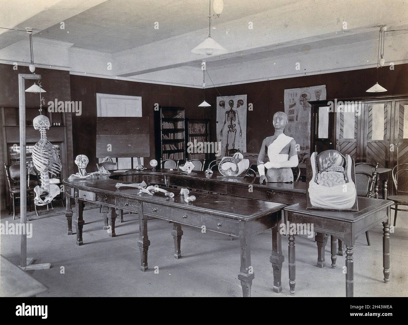 Johannesburg Hospital, South Africa: tables with anatomical models ...