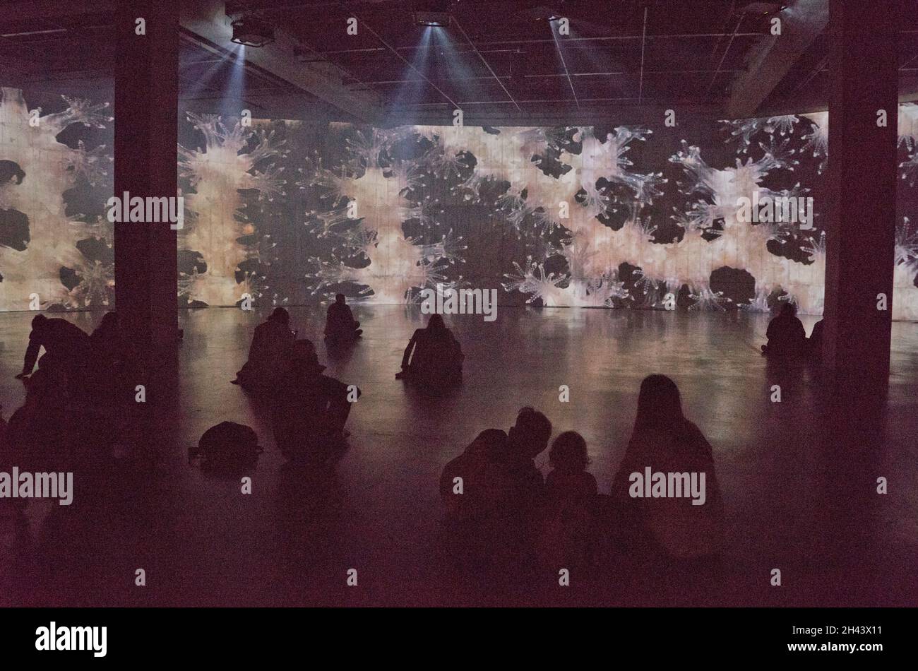 Visitors view artist Emilija Skarnulyte environmental installation at ...