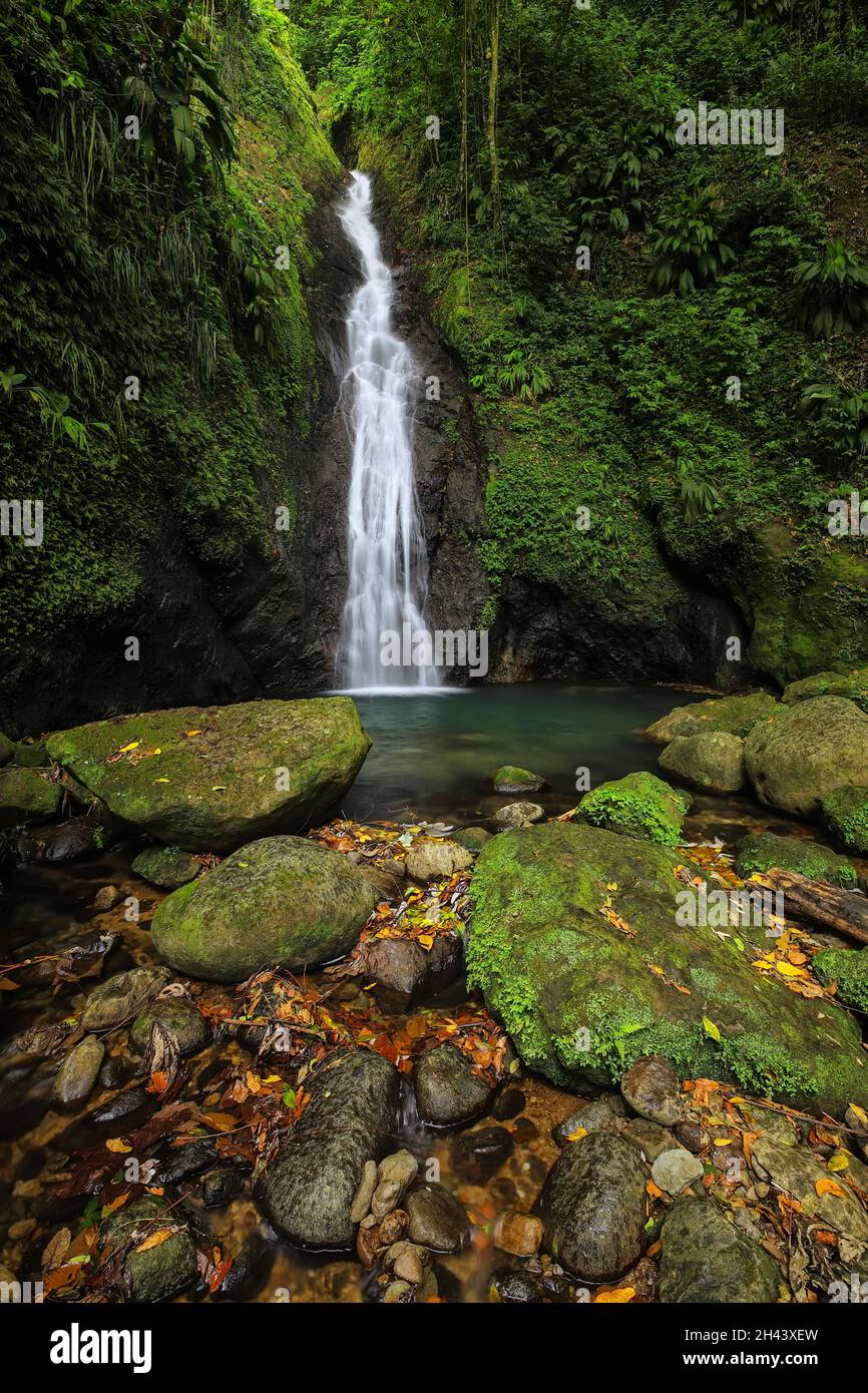 Grenada waterfall hi-res stock photography and images - Alamy