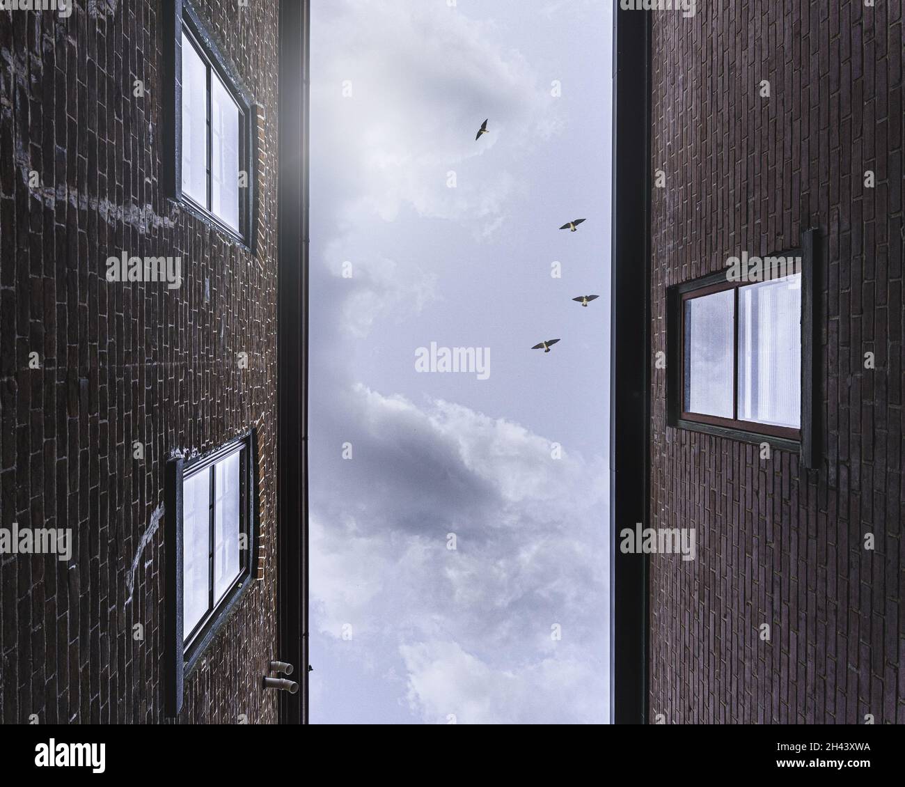 Blue sky with flying birds visible between brick buildings Stock Photo ...