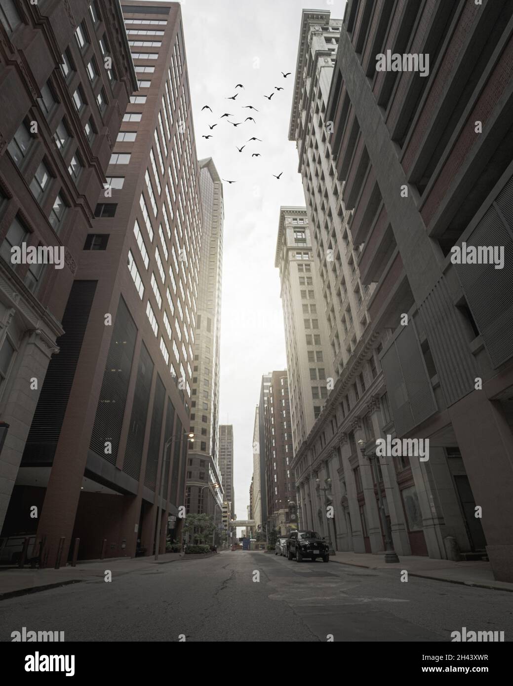 A vertical low angle shot of a street going through the highrise ...