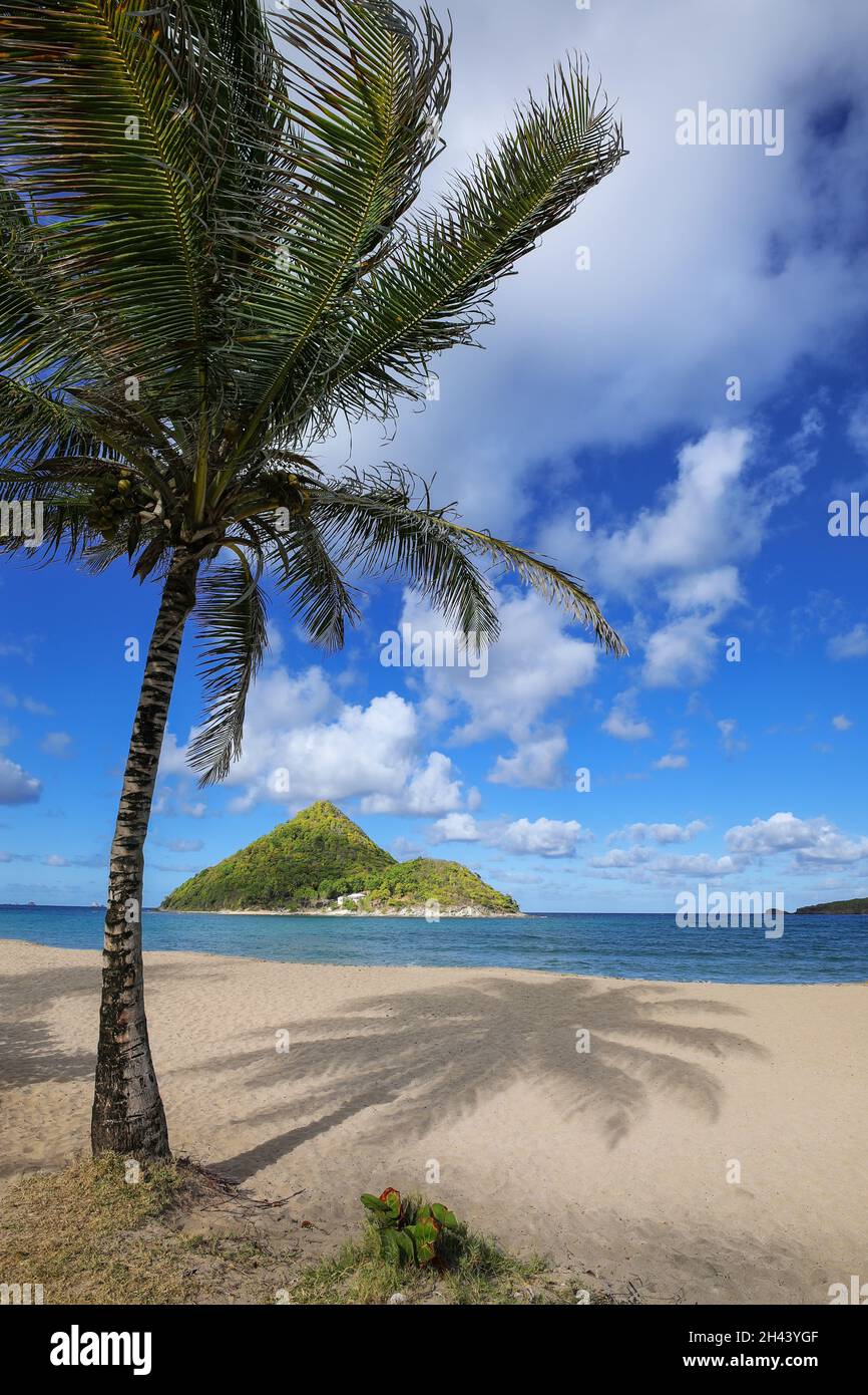 Levera national park hi-res stock photography and images - Alamy