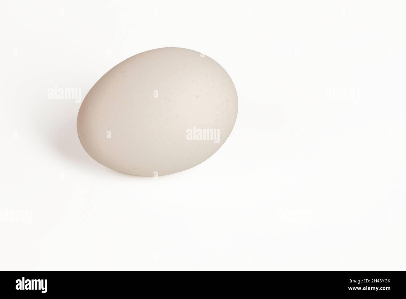 Close up view of white chicken egg isolated on white background Stock ...