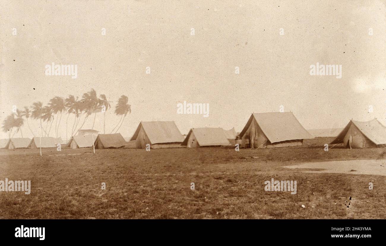 The Gold Coast, Queensland: a yellow fever isolation camp: rows of ...