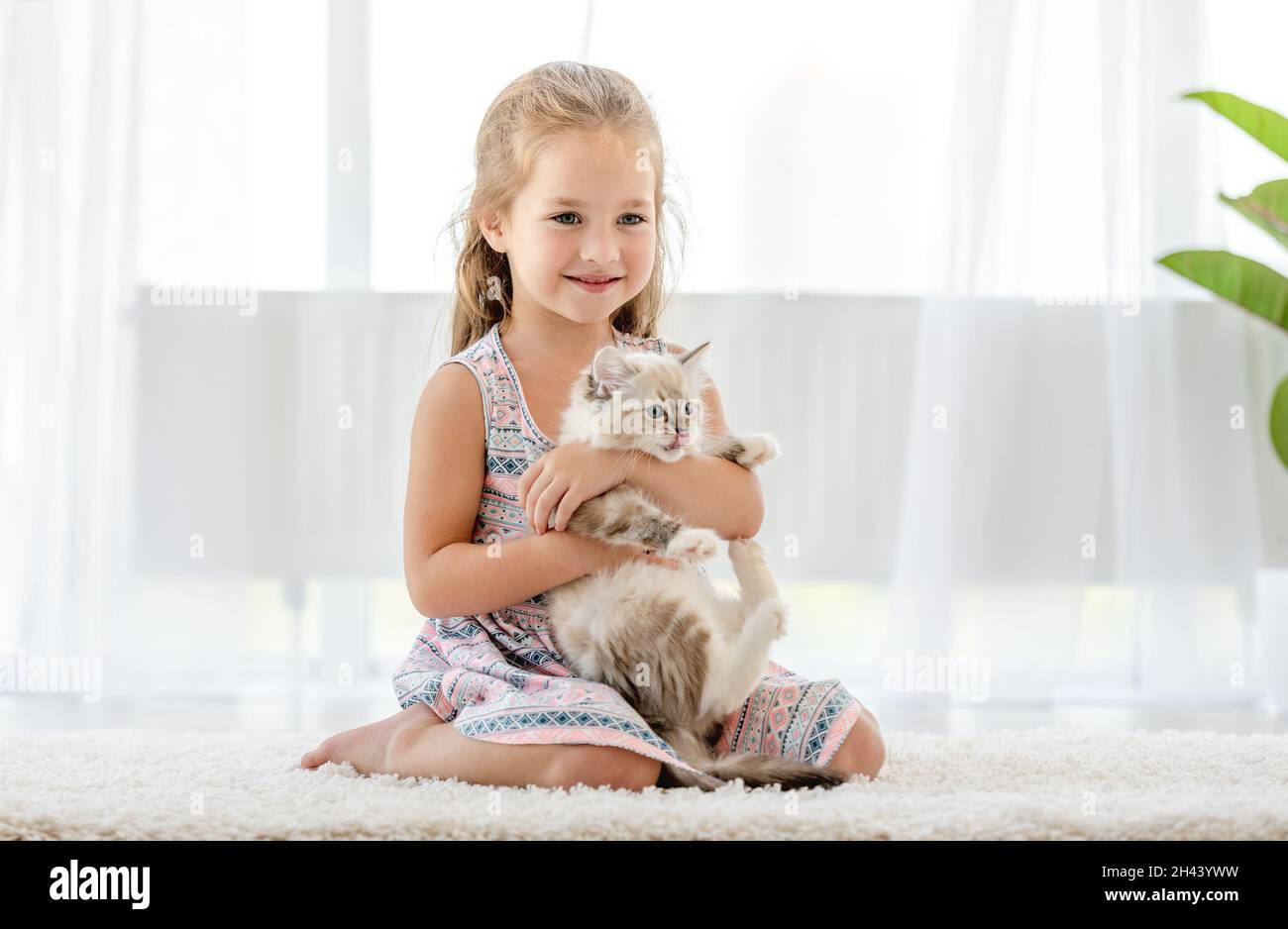 Girl with ragdoll kitten Stock Photo - Alamy