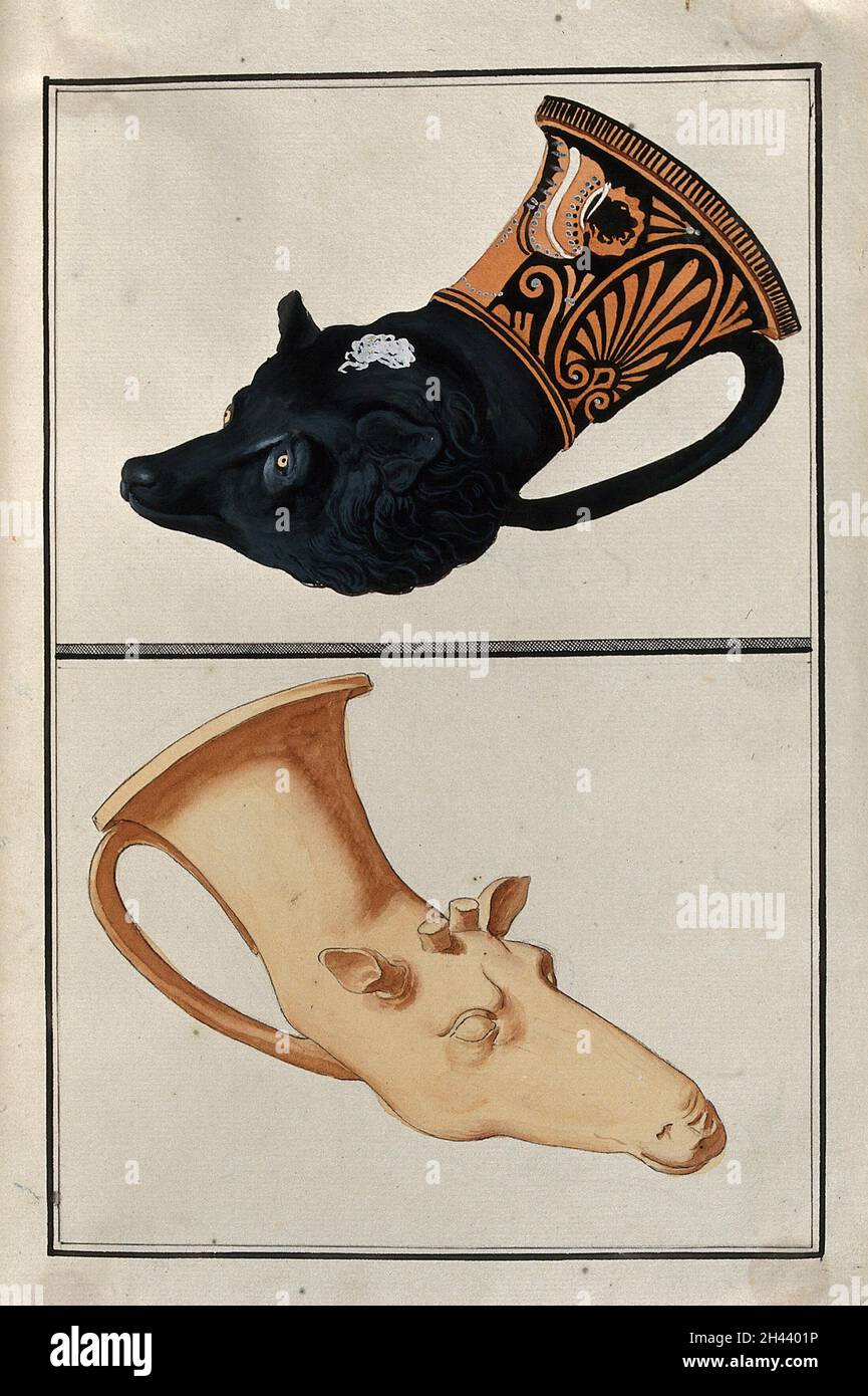 Above, red-figured Greek drinking horn (rhyton) ending in a dog's head ...