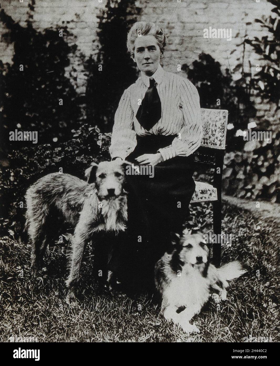 Edith louisa cavell hi-res stock photography and images - Alamy