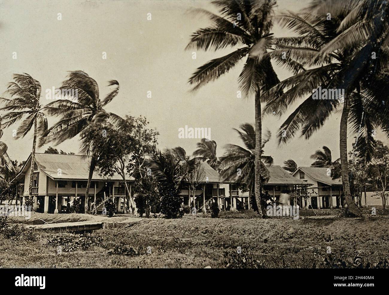 Leper asylum, Guyana (formerly British Guiana): wooden residences for ...