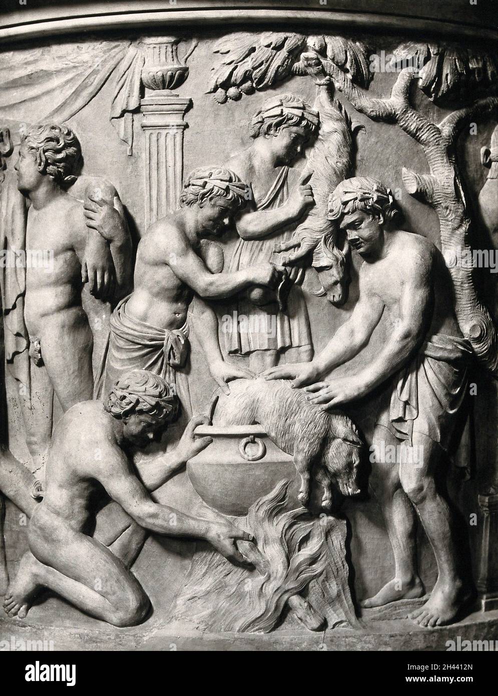 Dionysian rites: a pig being sacrificed. Photograph, ca. 1870 (?), of a ...