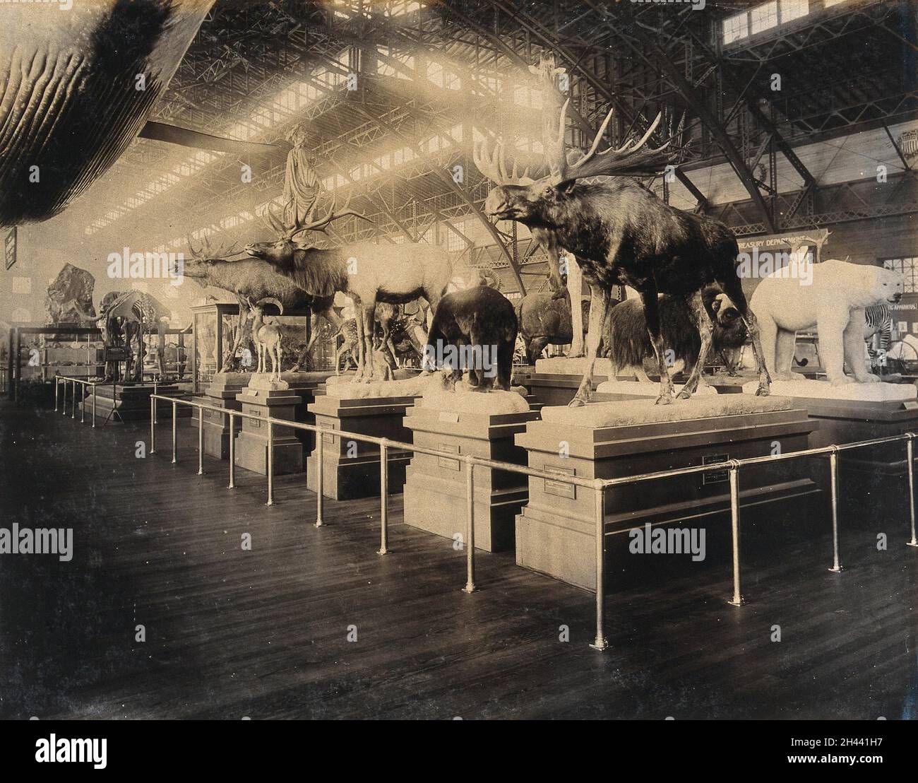 The 1904 World's Fair, St. Louis, Missouri: the US Government building ...