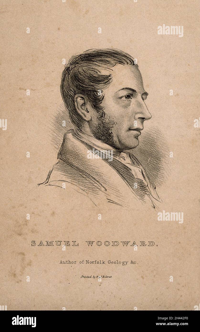 Samuel Woodward. Lithograph by Miss Turner Stock Photo - Alamy