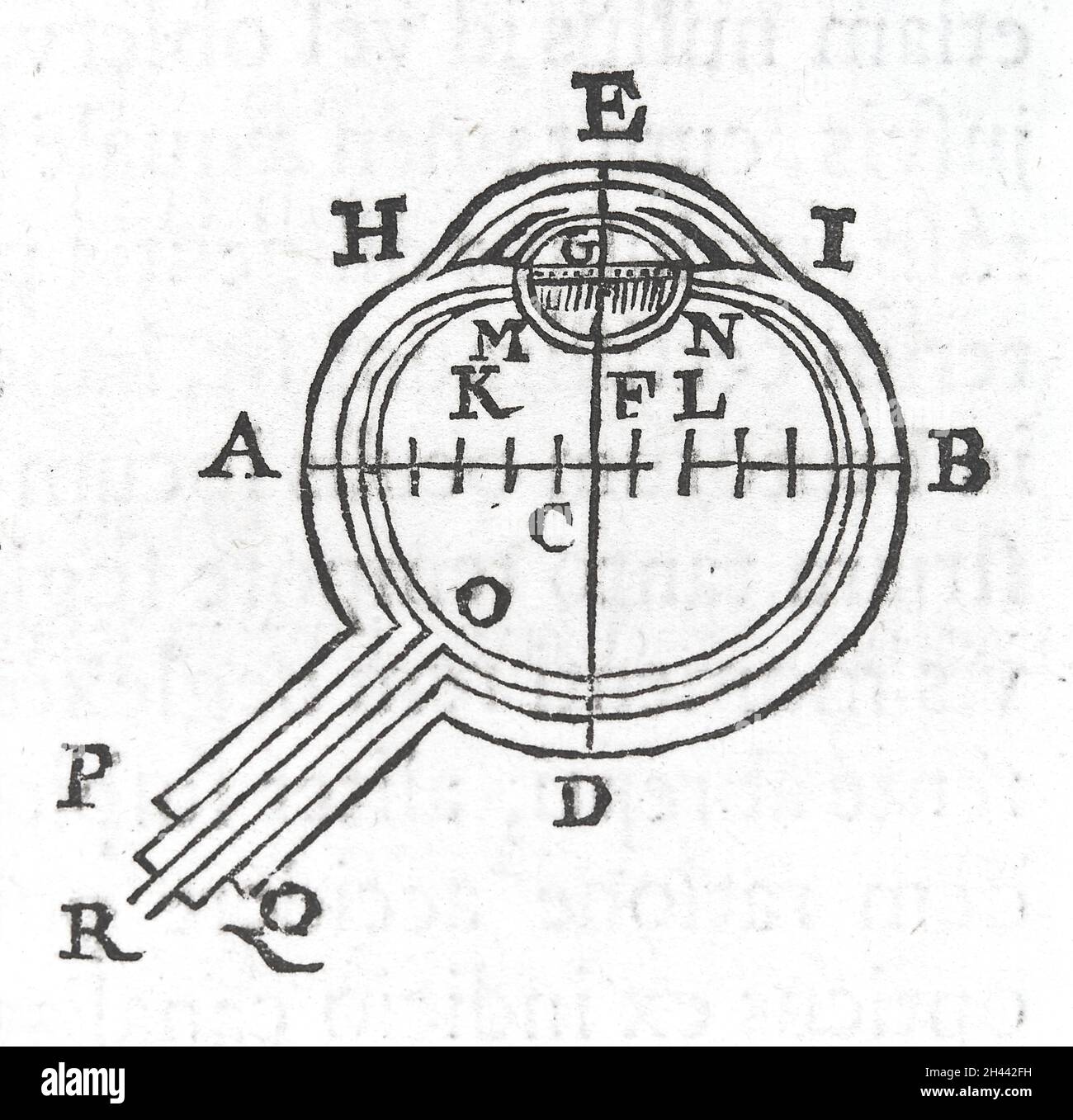 Diagram of an eye Stock Photo - Alamy