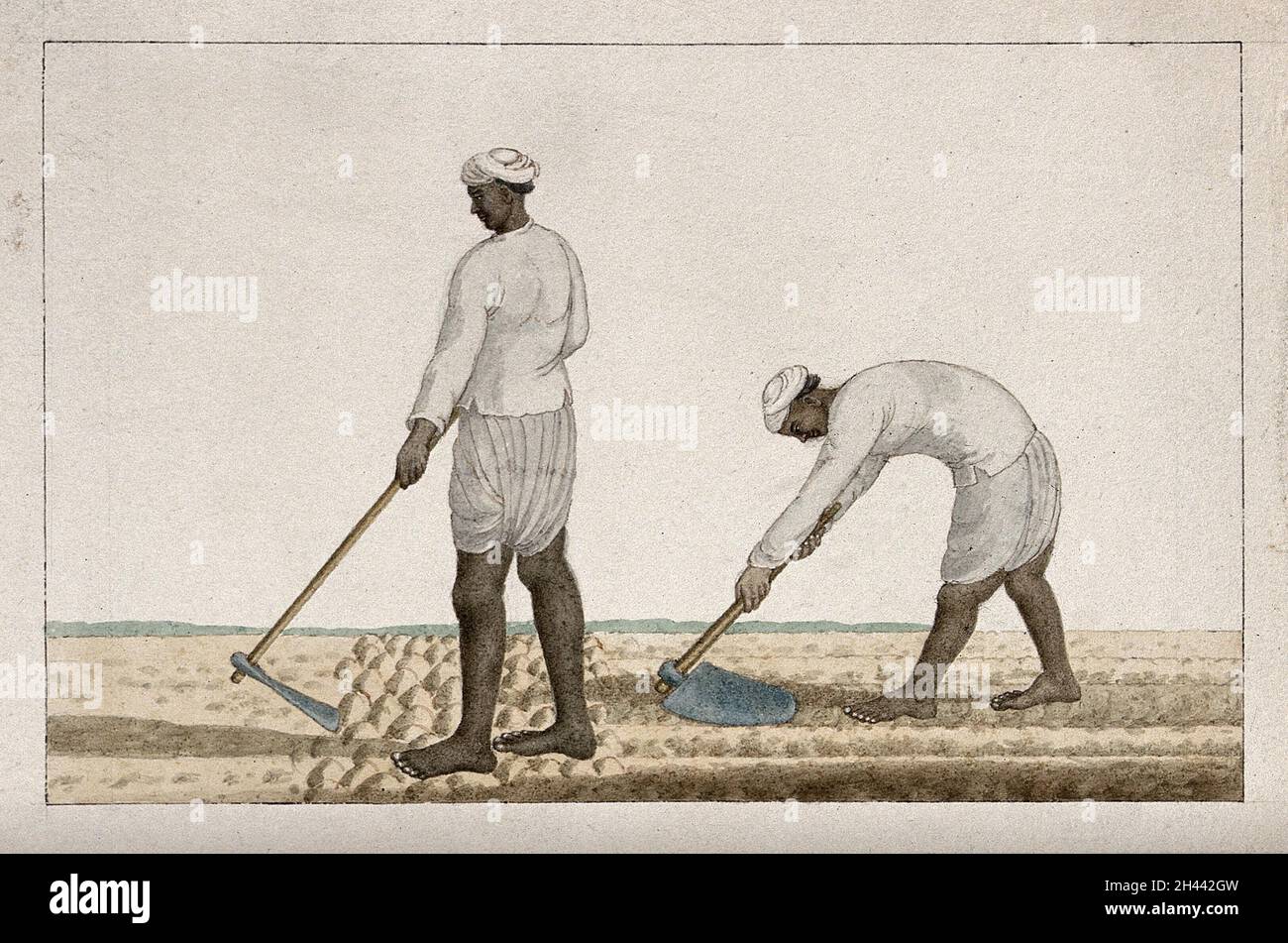Two men digging the earth with spades. Watercolour painting by an ...