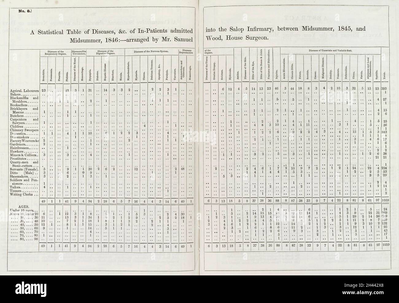 A Statistical Table of Disease, Salop Infirmary Stock Photo - Alamy