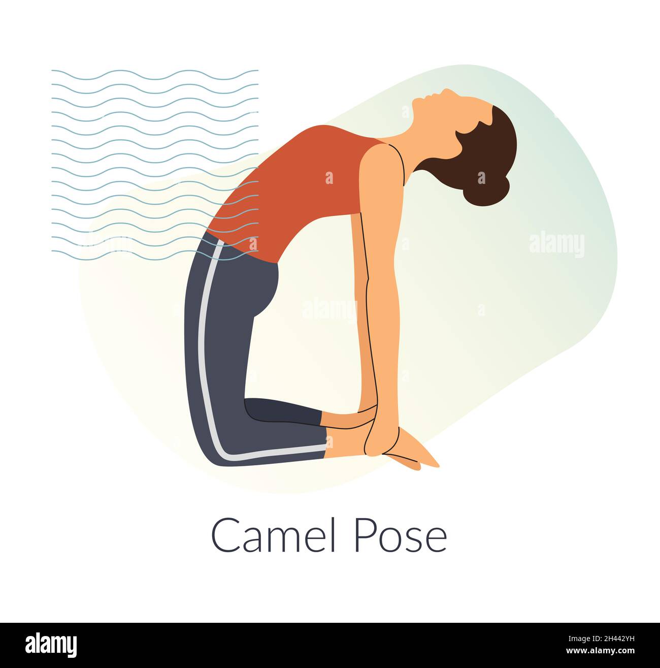 Camel exercising Stock Vector Images - Alamy