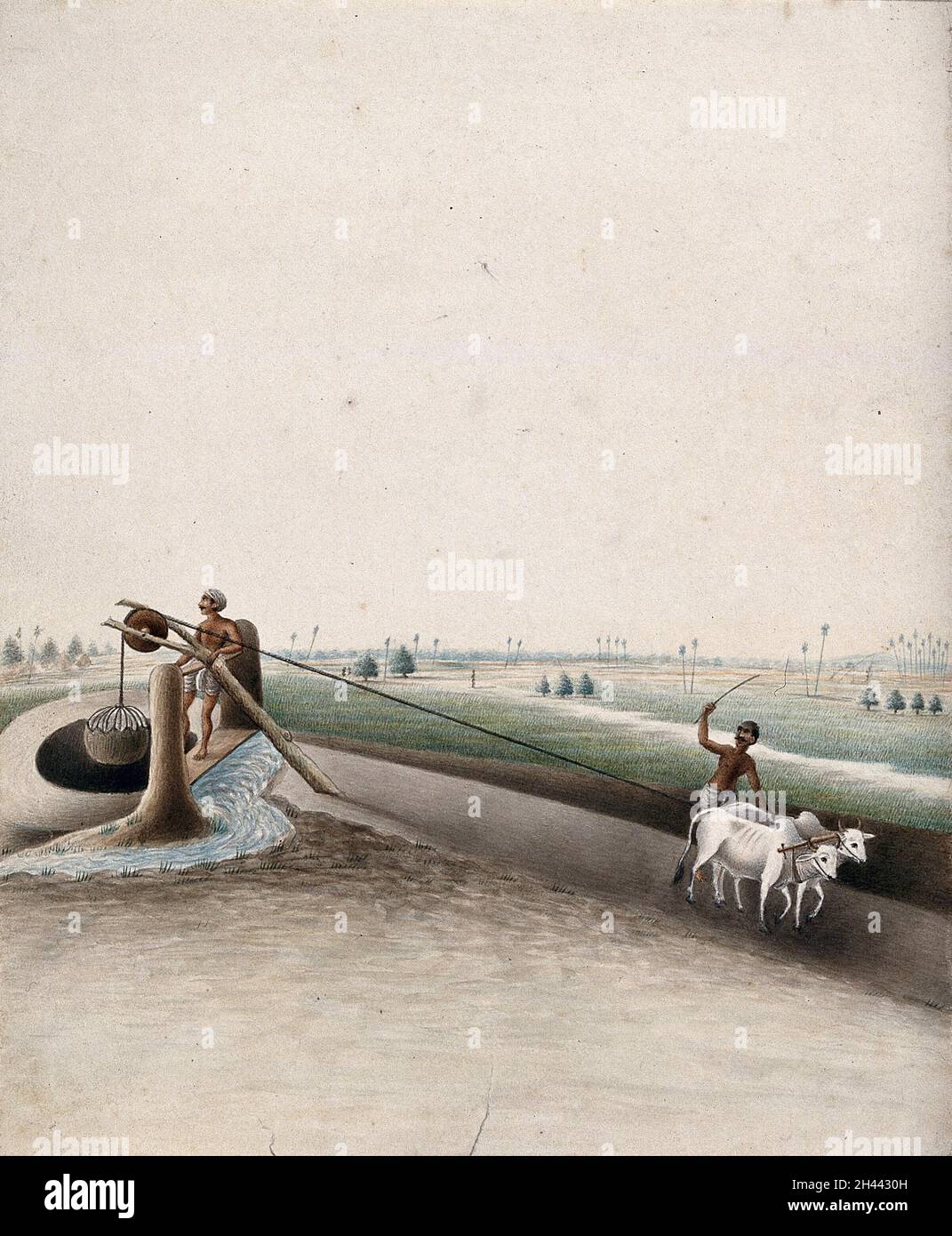 Two men using a pulley drawn by oxen to draw water from a well. Watercolour by an Indian artist ...