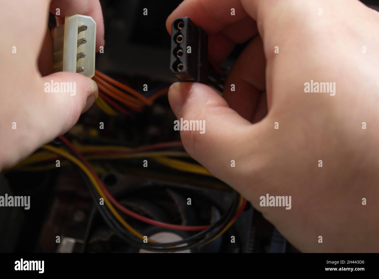 Female pc molex connector hi-res stock photography and images - Alamy