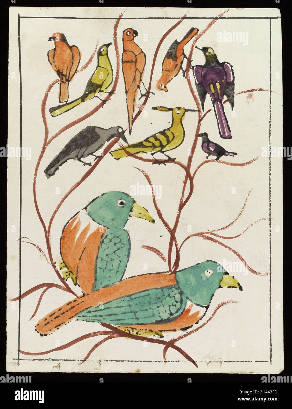 Birds including a hoopoe on the branches of a tree. Coloured transfer ...