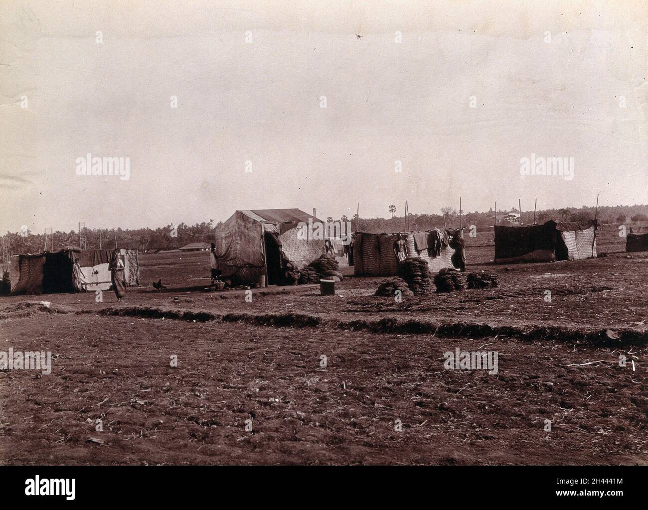 A camp of huts made out of bamboo and matting, where refugees from ...