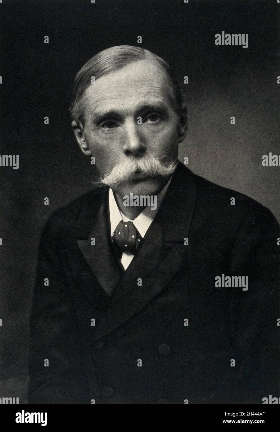 Sir Henry Trentham Butlin. Photogravure Stock Photo - Alamy