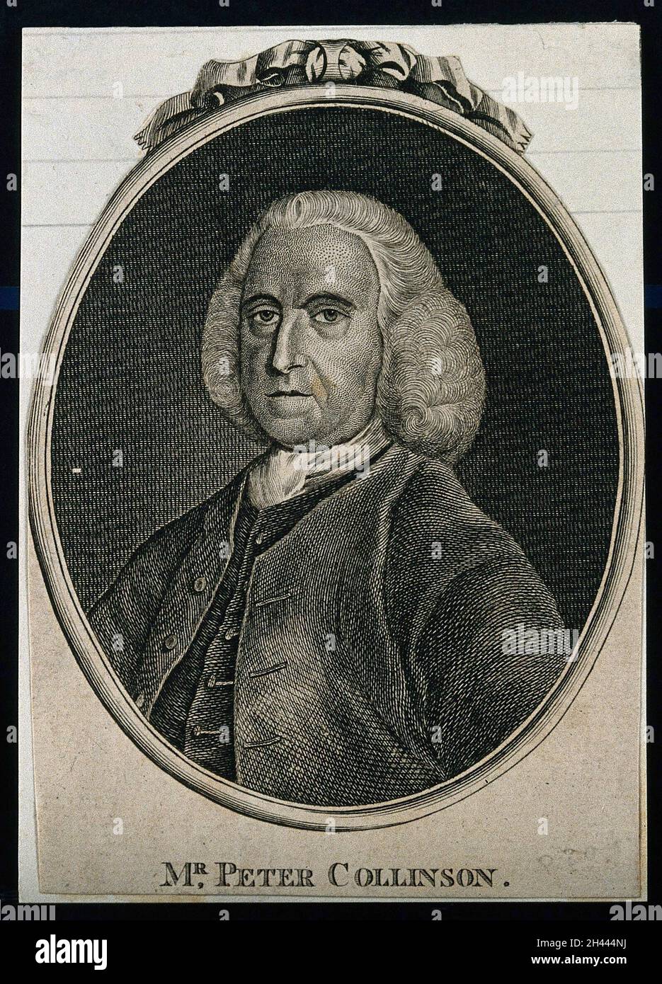 Peter Collinson. Stipple engraving by Page Stock Photo - Alamy