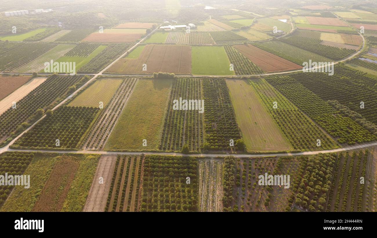 Aerial view of trees and agricultural farm crops in Greece Stock Photo ...