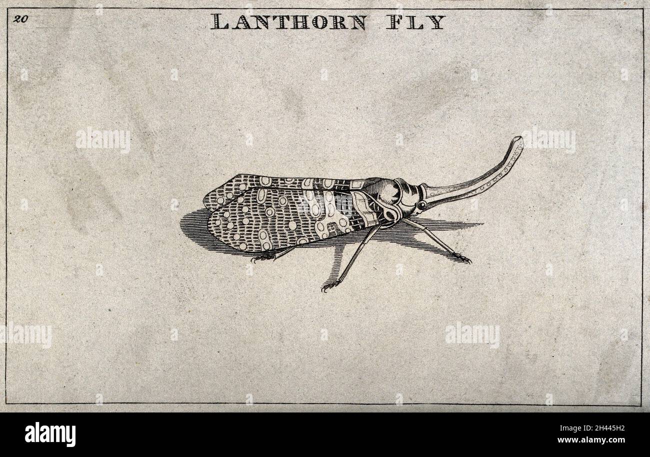 Lanthorn hi-res stock photography and images - Alamy