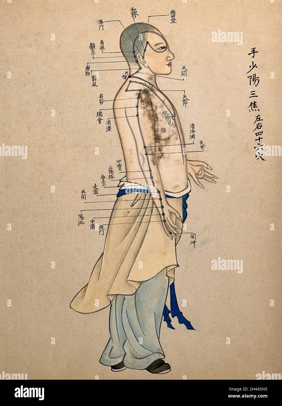 Acupuncture chart with a series of points indicated on the figure of a ...