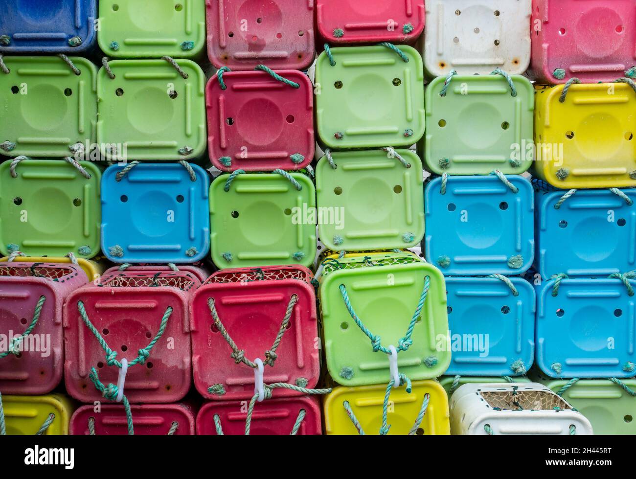 Catch seafood hi-res stock photography and images - Alamy