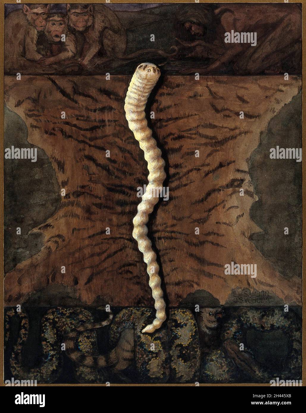 Parasites: a parasitical worm, shown much enlarged, with its hosts ...