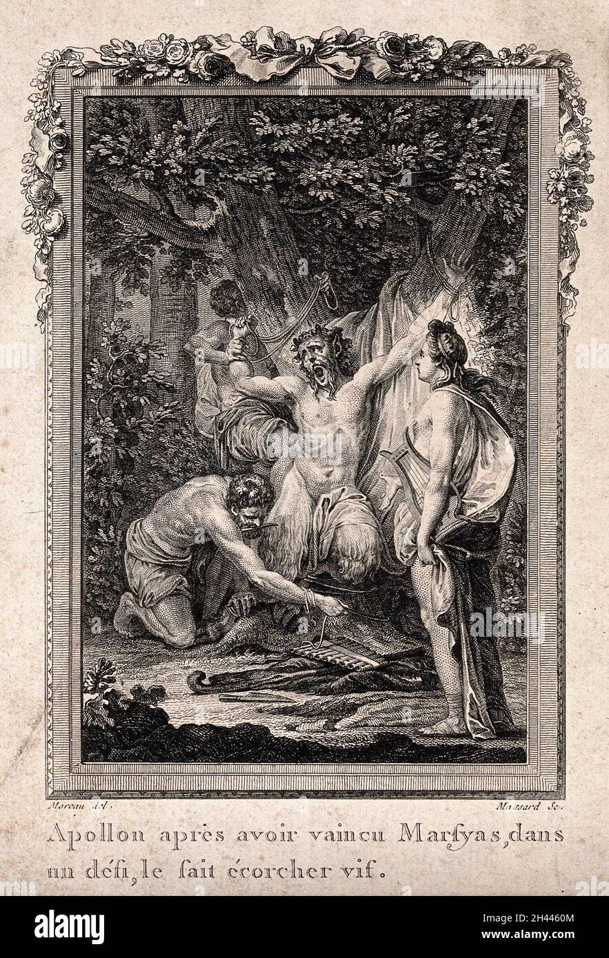 Apollo flaying Marsyas. Etching by Massard after J.M. Moreau Stock ...