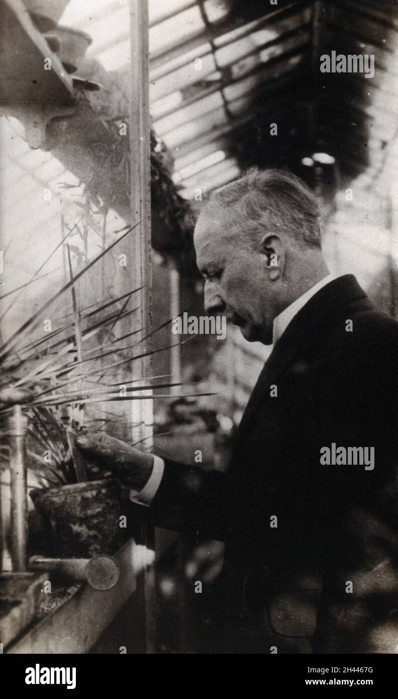 Daniel Berthelot. Photograph Stock Photo - Alamy