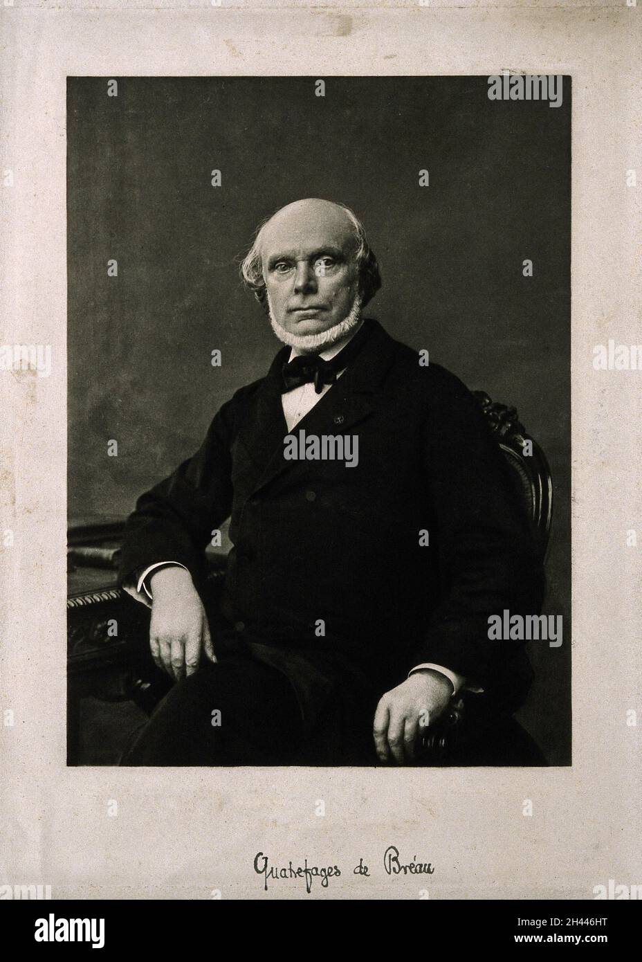 Jean-Louis-Armand de Quatrefages de Bréau. Photogravure Stock Photo - Alamy