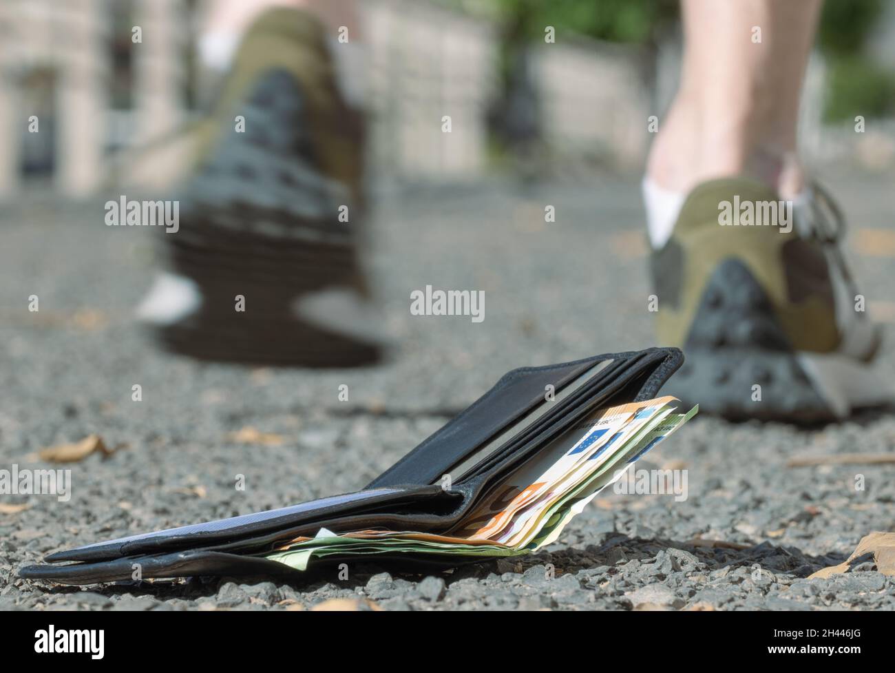 Solen profile hi-res stock photography and images - Alamy