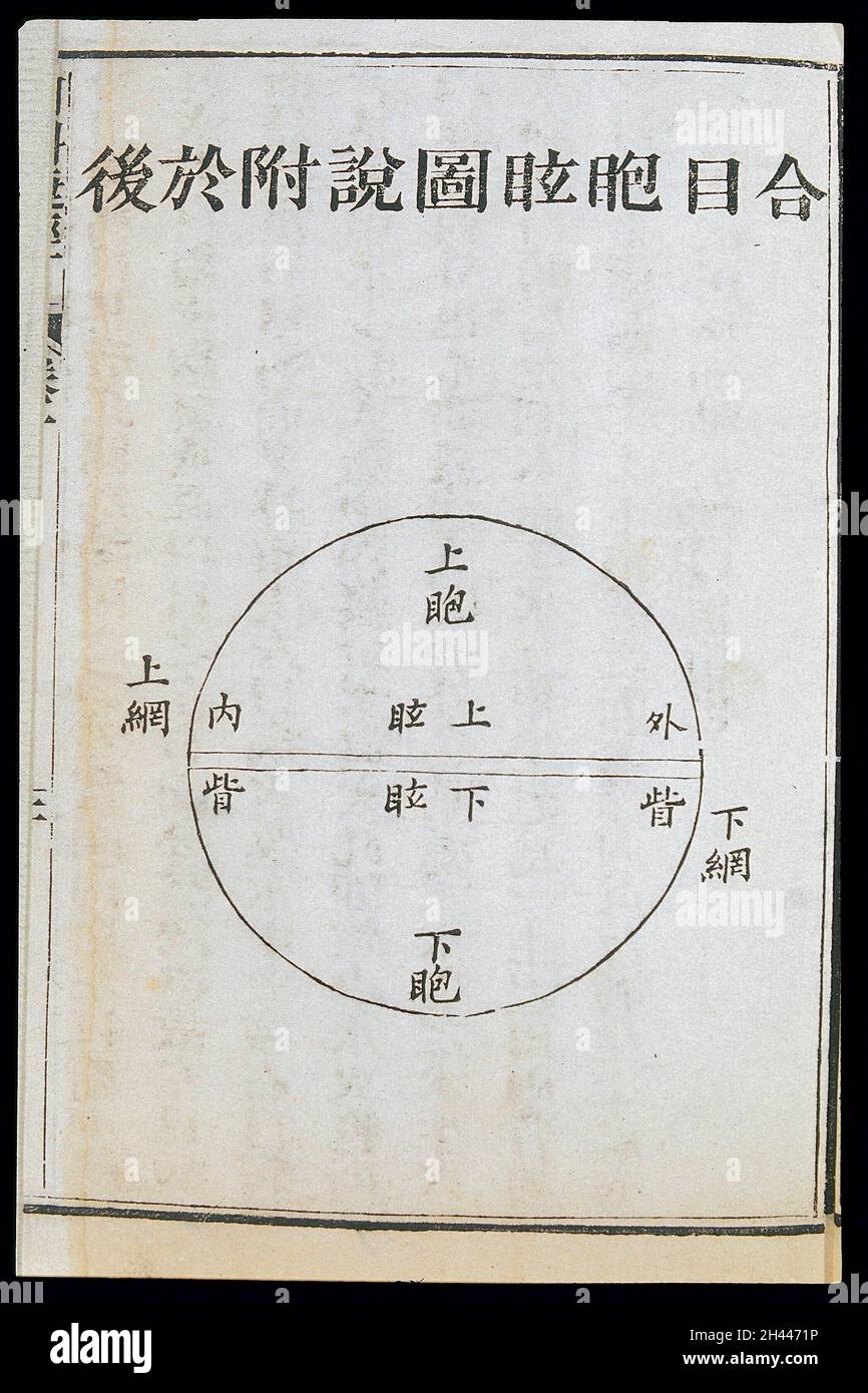 C19 Chinese eye diagnosis chart showing Yin and Yang division Stock ...