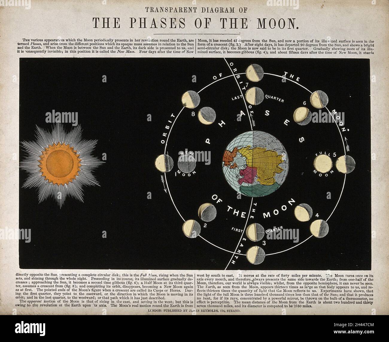 Astronomy: a diagram of the phases of the moon. Engraving Stock Photo ...